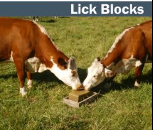 MEGAMIN MINERAL ORIGINAL BLOCK 17KG AGSOLUTIONS MMLBMB17 from Tom Grady ...