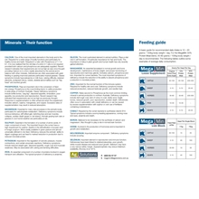 MEGAMIN MINERAL ORIGINAL BLOCK 17KG AGSOLUTIONS MMLBMB17 from Tom Grady ...